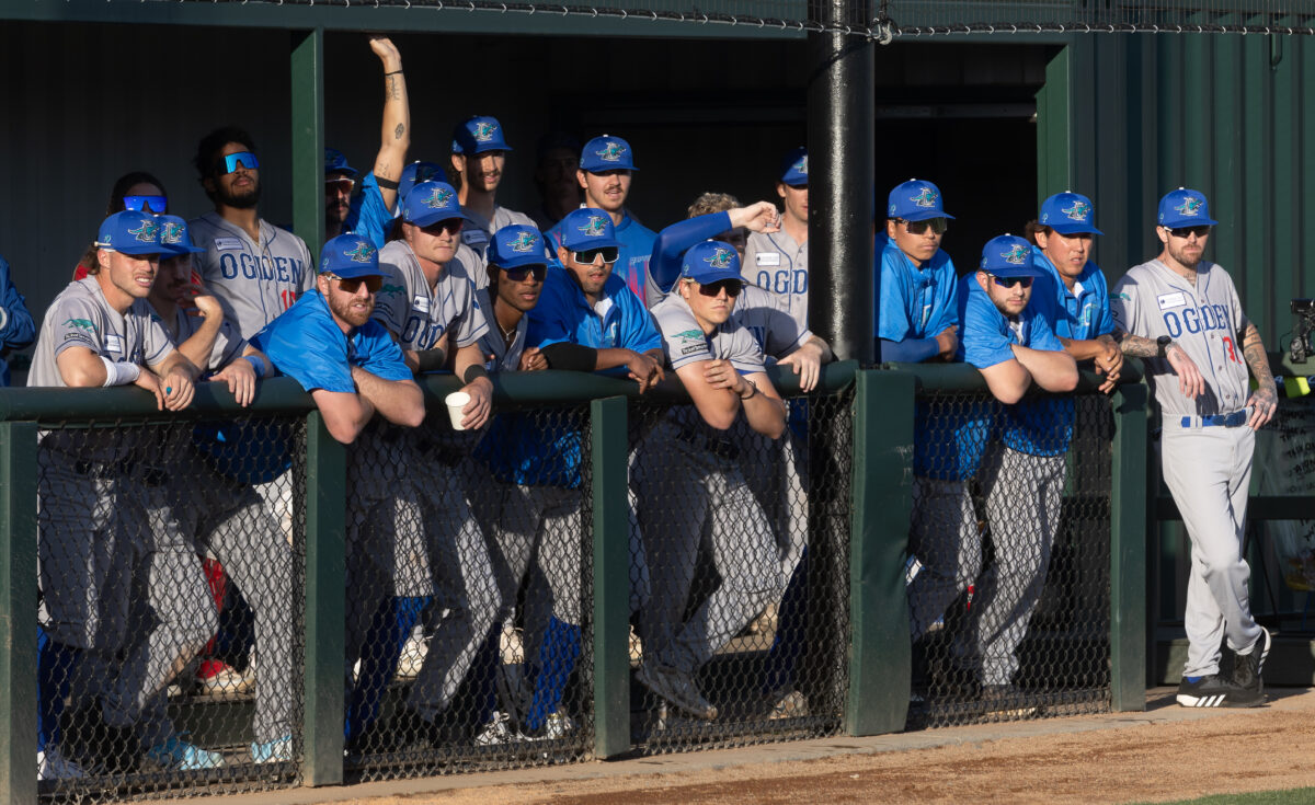 Ogden Raptors split series in Boise after two weekend losses | News ...